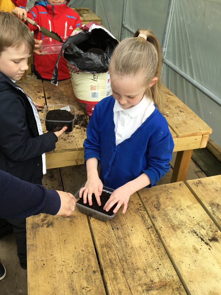 Outdoor Learning | Mottram C of E Primary School